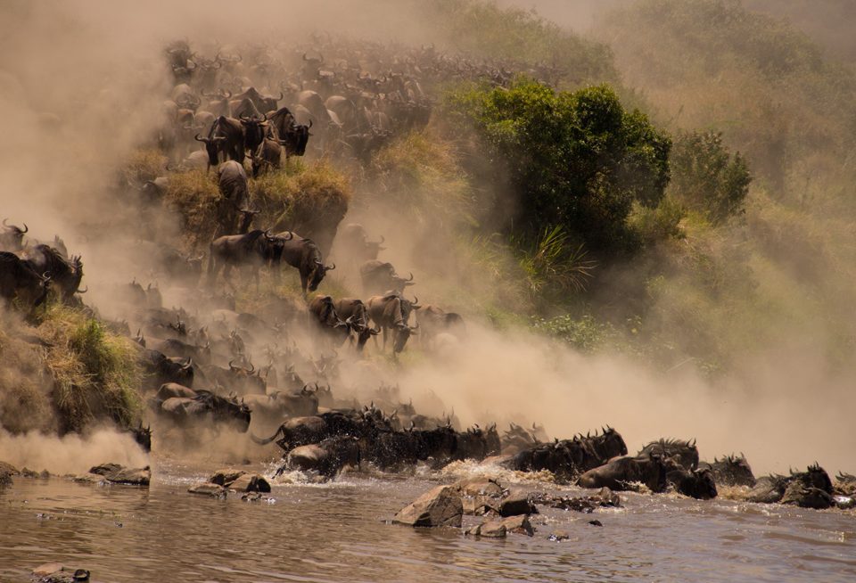 Kenya – Dawn Expeditions